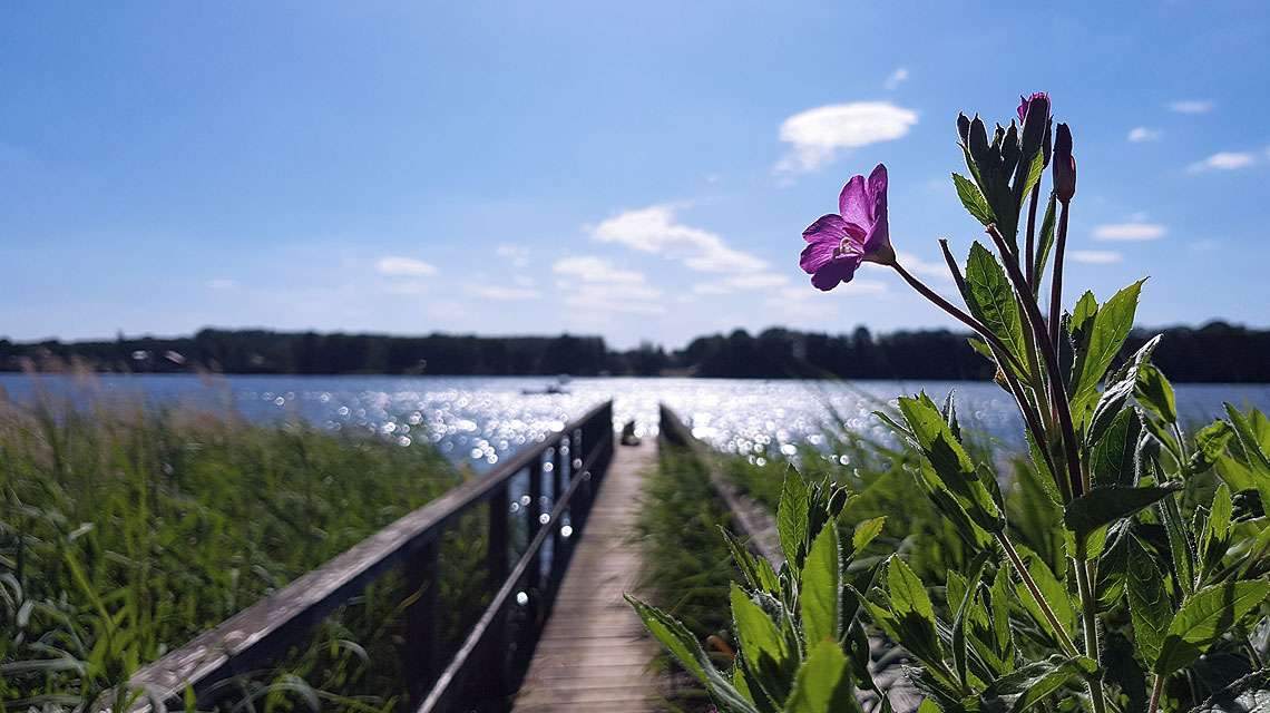 Rivertime | Fotografie, Design und Photoshop